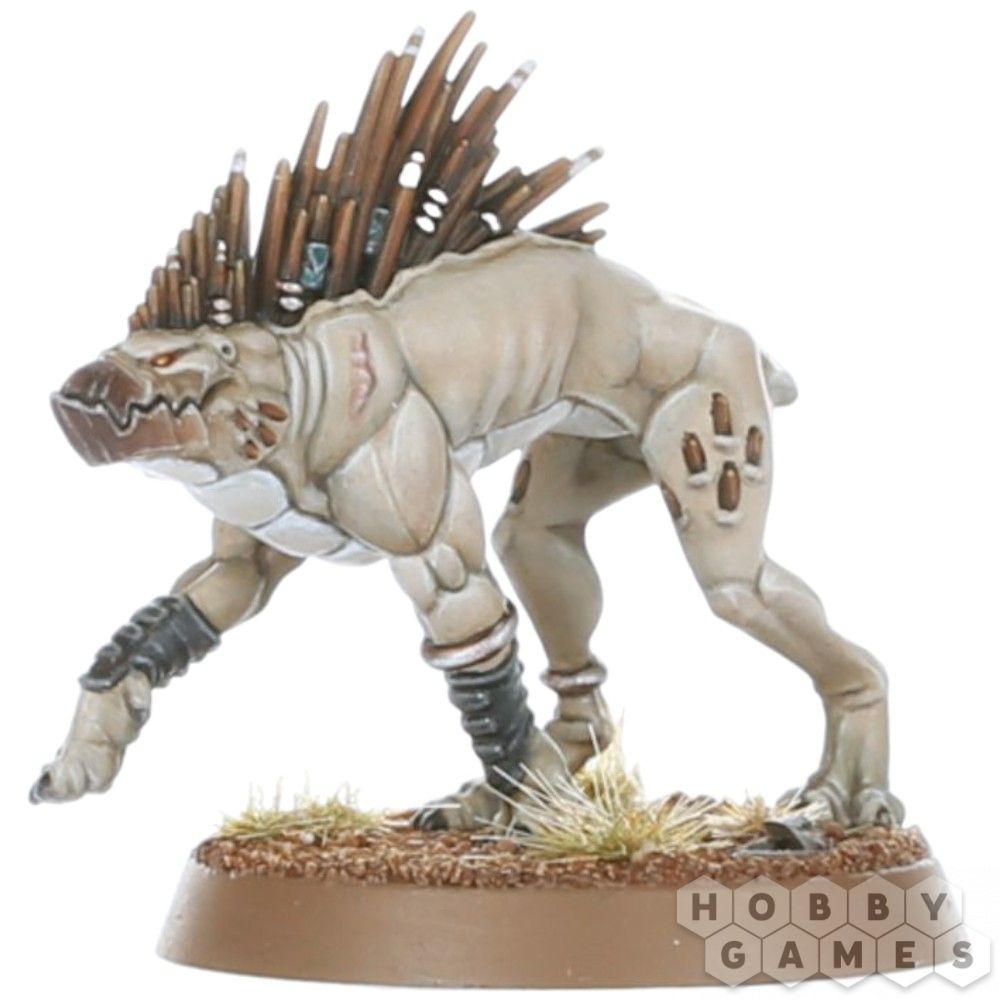 T'au Empire: Kroot Hounds