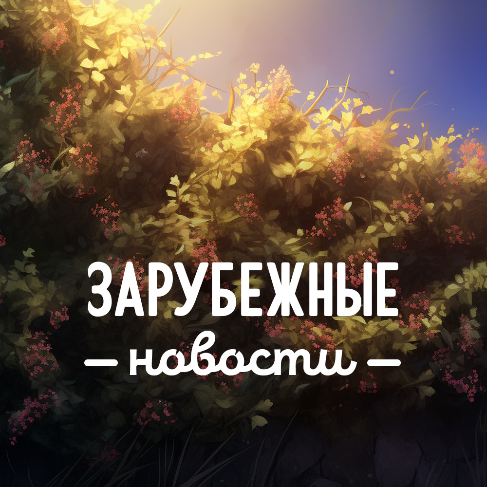 Gamefound приобрела Indiegogo | Интернет-магазин настольных игр Hobby Games в Москве